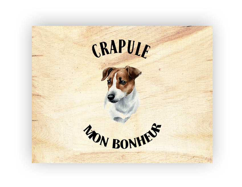 Box Dog cadeau pour votre animal de compagnie boule de poils