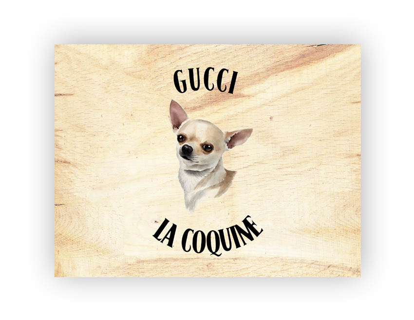 Box Dog cadeau pour votre animal de compagnie boule de poils