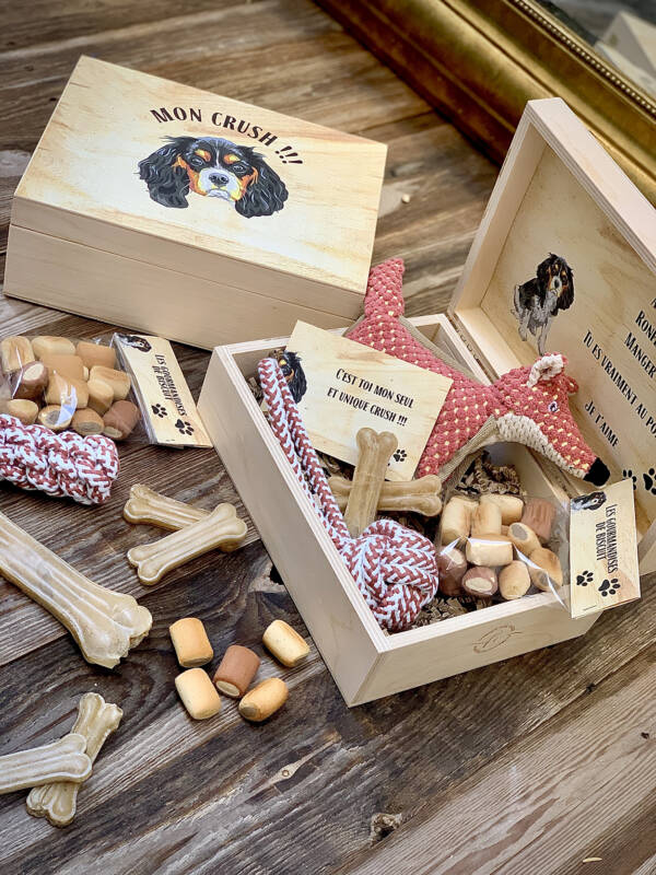 Box Dog cadeau pour votre animal de compagnie boule de poils