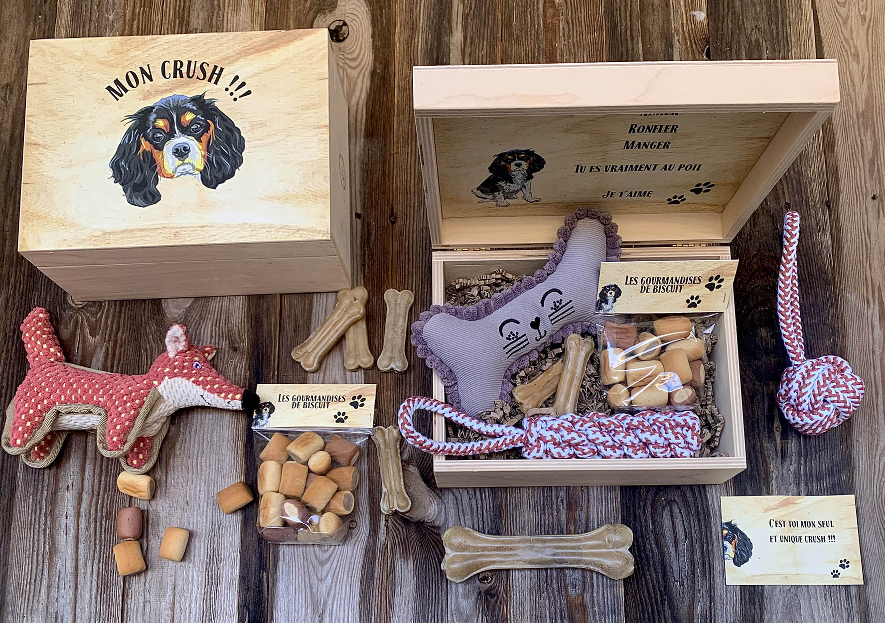 Box Dog cadeau pour votre animal de compagnie boule de poils