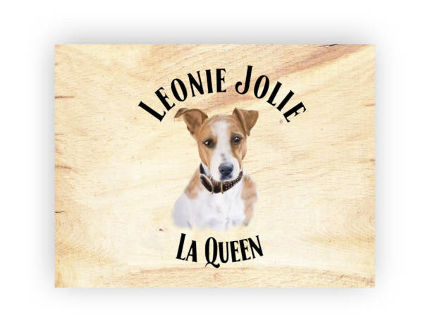 Box Dog cadeau pour votre animal de compagnie boule de poils