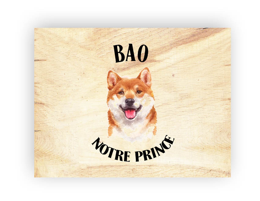 Box Dog cadeau pour votre animal de compagnie boule de poils